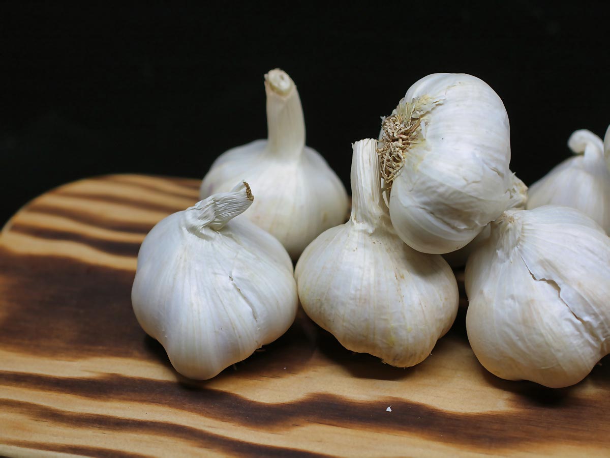 Uso Medicinal del Ajo - Salud y Homeopatía : MiSabueso.com