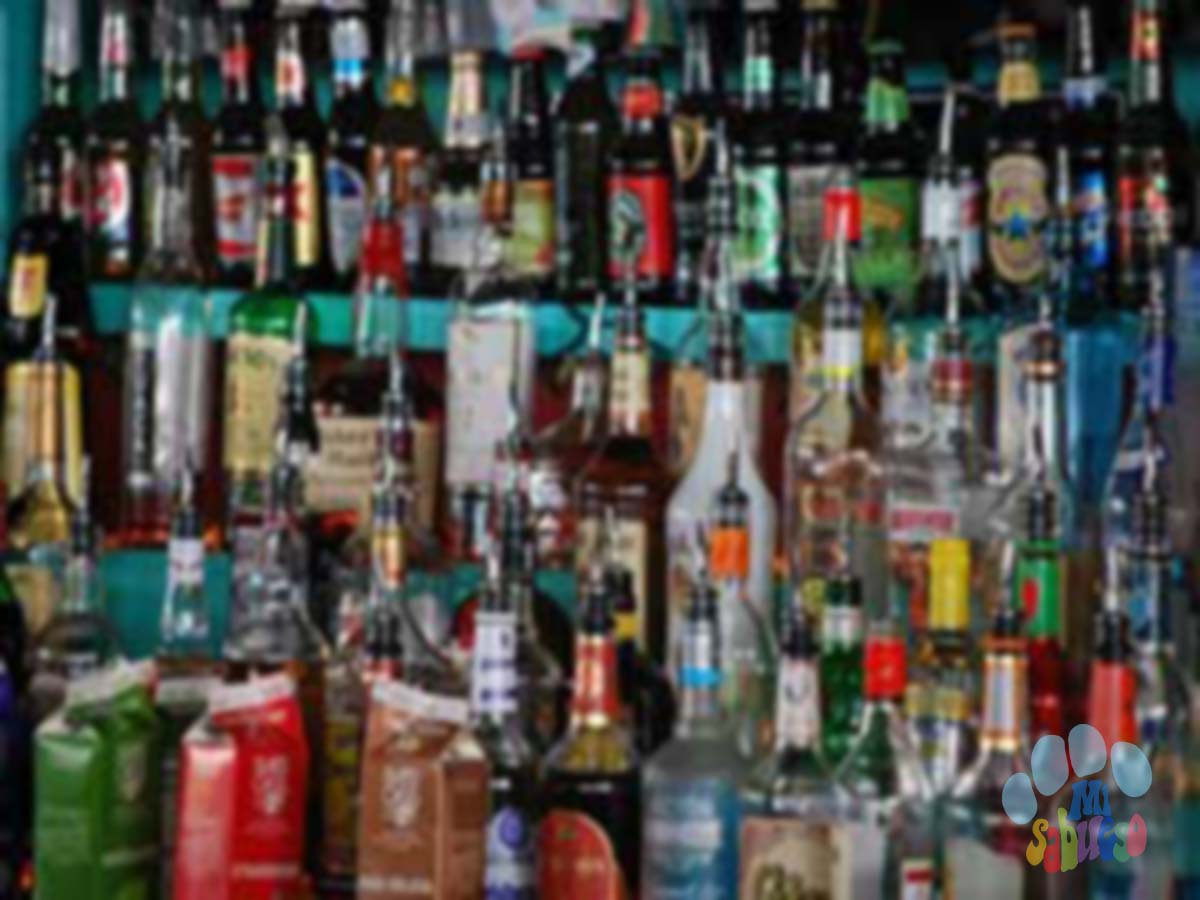 Soñar con Alcohol | Significado de los Sueños | MiSabueso