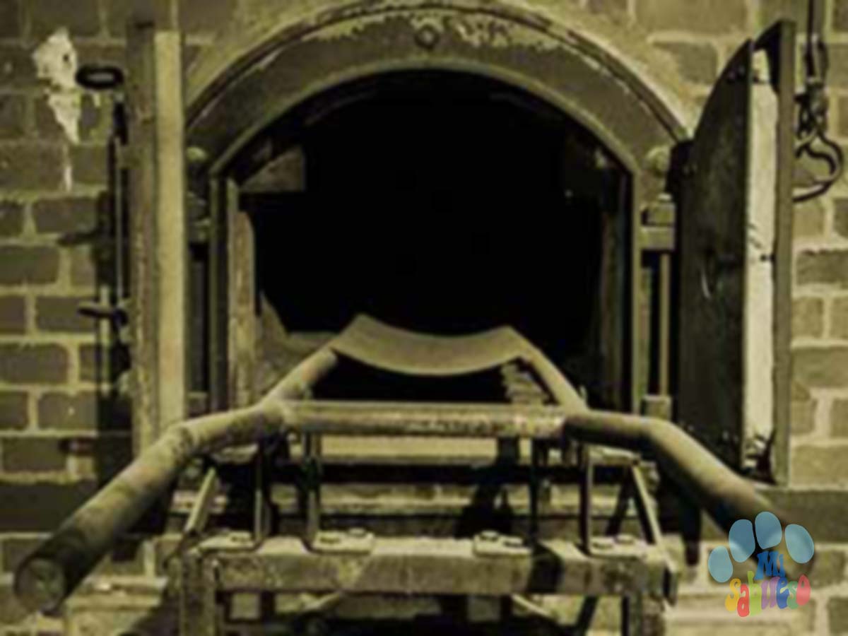 Soñar con Cremación | Significado de los Sueños | MiSabueso