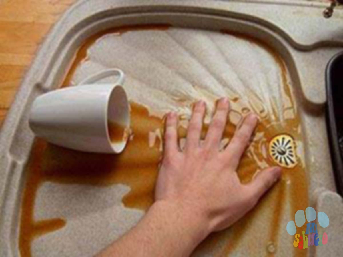 Soñar con Derramar | Significado de los Sueños | MiSabueso