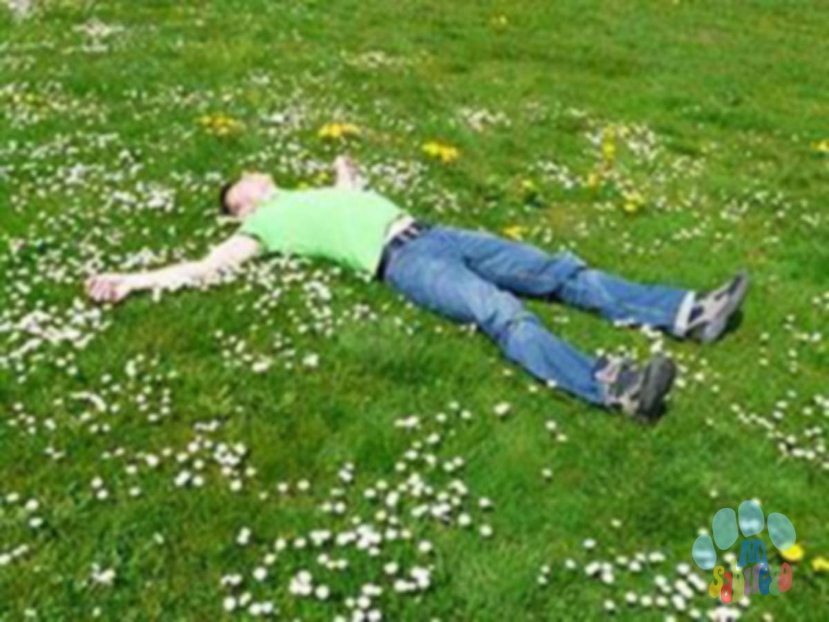 Soñar con Desmayo | Significado de los Sueños | MiSabueso