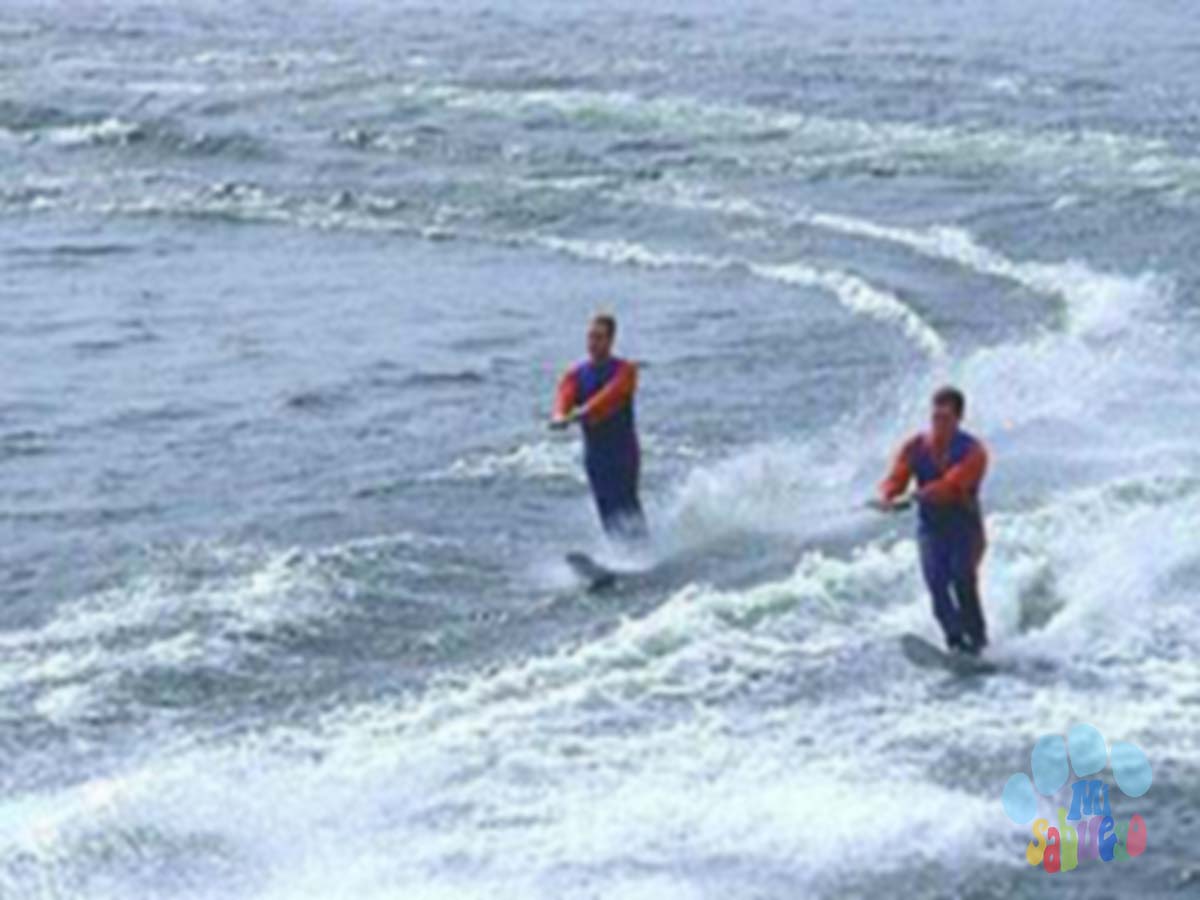 Soñar con Mojar | Significado de los Sueños | MiSabueso