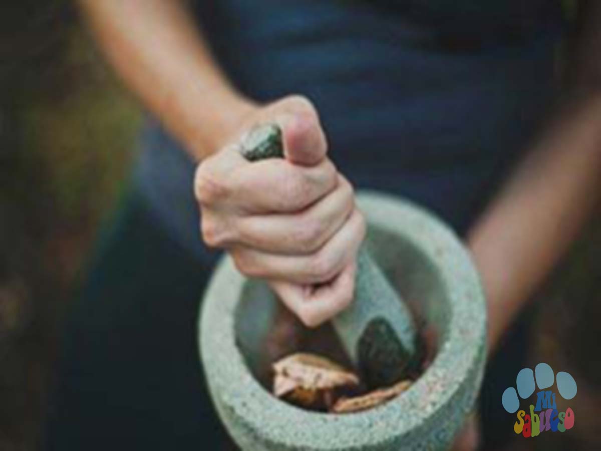 Soñar con Moler | Significado de los Sueños | MiSabueso